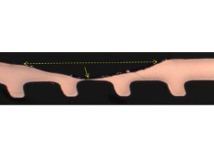 Recognising “hidden” formicary (ant nest) corrosion - Institute of ...