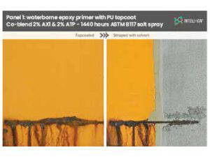 Sustainable C5 Corrosion Protection for Primer Coatings - Institute of ...